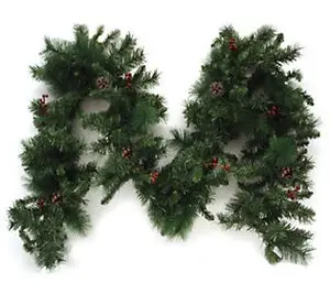 BRITE STAR 9' Chesapeake Pine Garland With Berr Ies - One-color