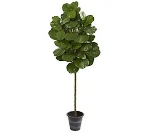 NEARLY NATURAL 6.5' Fiddle Leaf Tree With Planter Nearly Na Tural - One-color