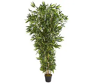 NEARLY NATURAL 6' Bamboo Artificial Tree By - One-color
