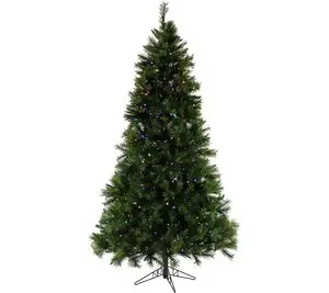 FRASER HILL FARM 6.5' Canyon Pine Multicolor Pr Elit Tree - One-color