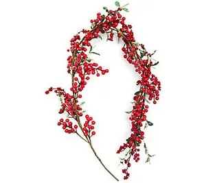 BRITE STAR 5 Ft Berry Garland With Leaves - One-color