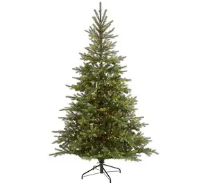 NEARLY NATURAL 7' Lit North Carolina Spruce Christmas Tree Arly Natural - One-color