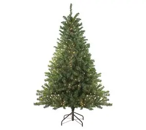 NORTHLIGHT 5' Pre-lit Canadian Pine Artificial Ristmas Tree - One-color
