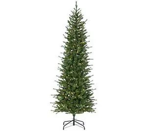 STERLING 7.5-ft Nat Cut Narrow Dover Pine W/ 200 Lights Y Co - One-color