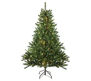 NORTHLIGHT 6' Pre-lit Led Canadian Pine Christm As Tree - One-color