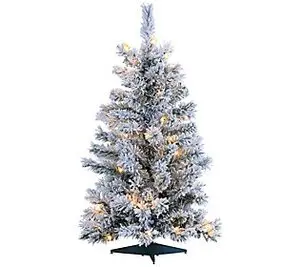 STERLING 3-ft Flocked Colorado Spruce W/50 Clear Lights Y Co - One-color