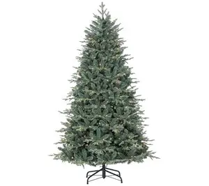 STERLING 7-ft Pre-lit Natural Cut Blue Spruce Sterlin G Co - One-color