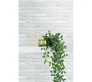 NEXTWALL Limestone Brick Peel And Stick Wallpap Er Roll