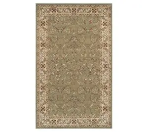 SUPERIOR Traditional Floral Scroll Area Rug, 5x - One-color