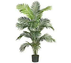 NEARLY NATURAL 6' Paradise Palm Tree By - One-color