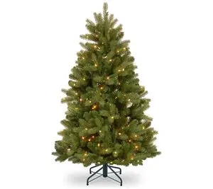 NATIONAL TREE COMPANY National Tree 5 Ft. Newberry Spruce Tree W/dual Led Lights - One-color