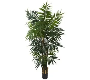 NEARLY NATURAL 6' Bulb Areca Palm Tree By - One-color