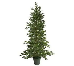 NORTHLIGHT 6' Potted Noble Pine Slim Faux Christmas Tree - One-color