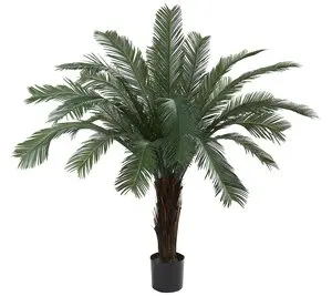 NEARLY NATURAL 5' Cycas Tree By - One-color