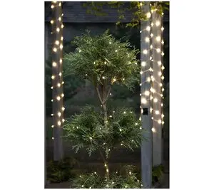 EVERLASTING GLOW 50-ft L Warm White Micro Led Green String Ev Erlasting Glow