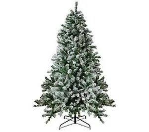 NORTHLIGHT 7.5' Flocked Fir Tree Ith Warm Clea R Lights - One-color