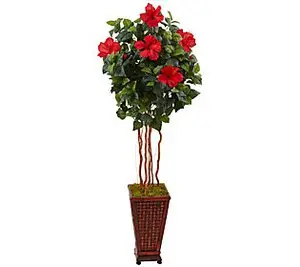 NEARLY NATURAL 5' Hibiscus Tree In Decorated Planter By - One-color