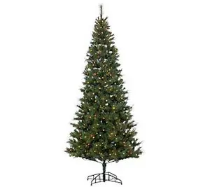 STERLING 9-ft H Pre-lit Hard/mixed Needle Baxter Pine Co