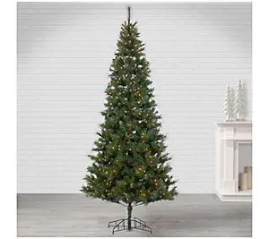 STERLING 9-ft H Pre-lit Hard/mixed Needle Baxter Pine Co