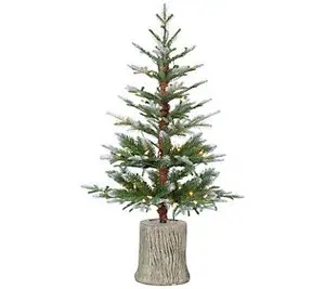 STERLING 3-ft High Potted Natural Cut Frosted Pine Tree Y Co - One-color