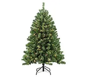 PULEO INTERNATIONAL Puleo 4.5' Pre-lit Northern Fir Artificial Chri Stmas Tree - One-color