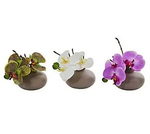 NEARLY NATURAL 7' Phalaenopsis Orchid Set Of 3 By - One-color