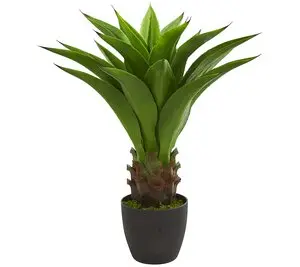 NEARLY NATURAL 30' Agave Artificial Plant By - One-color