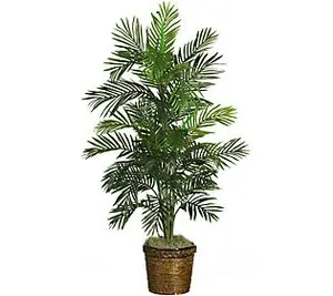 NEARLY NATURAL 56' Areca Tree W/basket By - One-color