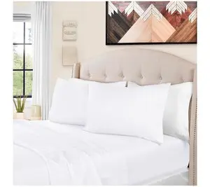 SUPERIOR 1500-tc Egyptian Cotton 4-piece Sheet Queen - One-color