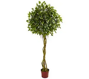 NEARLY NATURAL 6' Ficus Artificial Topiary Tree Nearly Natu Ral - One-color