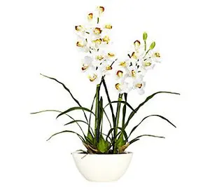 NEARLY NATURAL Cymbidium Vase Silk Flower Arrangement Nearl Y Natural - One-color