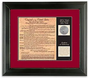 AMERICAN COIN TREASURES Birth Of A Nation Bill F Rights Frame - One-color