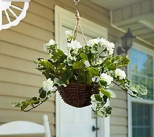 NATURE SPRING Faux White Geranium Hanging Plant - One-color