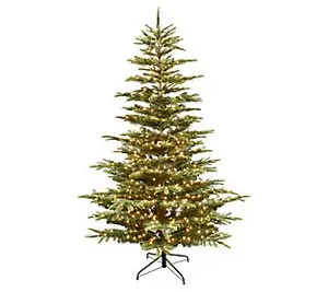 PULEO INTERNATIONAL 6.5' Pre-lit Arctic Fir Tre E - One-color