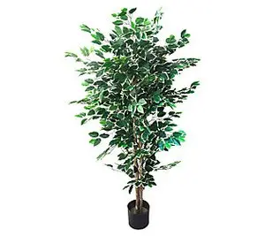 NATURE SPRING Ficus Artificial Tree - One-color