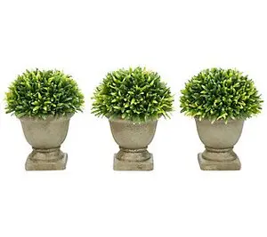 NATURE SPRING Set Of 3 Potted Faux Grass Plants - One-color