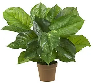 NEARLY NATURAL 27' Large Leaf Philodendron Silk Plant Nearl Y Natural - One-color