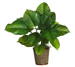 NEARLY NATURAL 29' Large-leaf Philodendron Silk Plant Nearl Y Natural - One-color