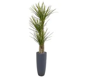 NEARLY NATURAL 6' Yucca Tree In Bullet Planter By - One-color
