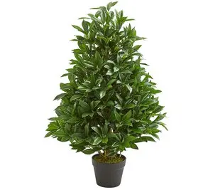 NEARLY NATURAL 3' Bay Leaf Artificial Topiary Tree Nearly N Atural - One-color