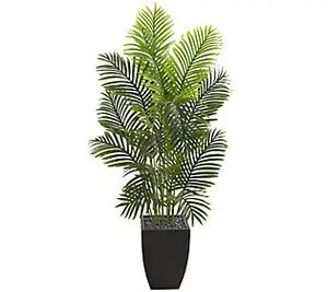 NEARLY NATURAL 5.5' Paradise Palm Tree In Square Planter Ne Arly Natural - One-color