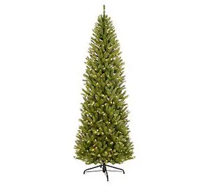 PULEO INTERNATIONAL 4.5' Pre-lit Franklin Fir P Encil Tree - One-color