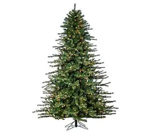 STERLING 7.5-ft H Layered Norfolk Pine Pre-lit Tree Co - One-color