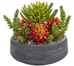 NEARLY NATURAL 12' Succulent Garden Plant/bowl By - One-color