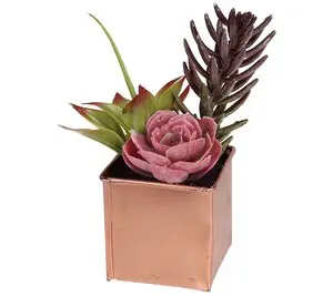 NORTHLIGHT 7' Artificial Potted Mixed Succulent Arrangement - One-color