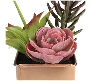 NORTHLIGHT 7' Artificial Potted Mixed Succulent Arrangement