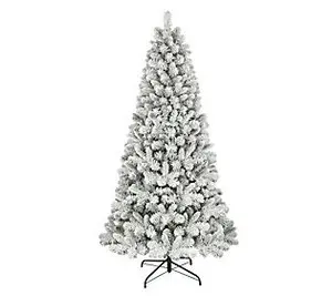 PULEO INTERNATIONAL Puleo 6' Flocked Virginia Pine Christmas Tree W Ith Stand - One-color