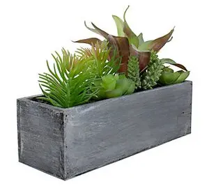 NORTHLIGHT 12' Artificial Succulent Plants In Lanter
