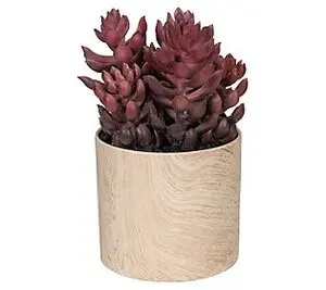 NORTHLIGHT 7' Purple Artificial Succulent In Fa X Wood Pot - One-color
