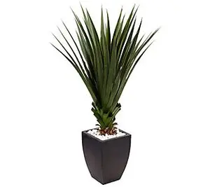 NEARLY NATURAL 4.5' Spiked Agave In Black Planter Nearly Na Tural - One-color